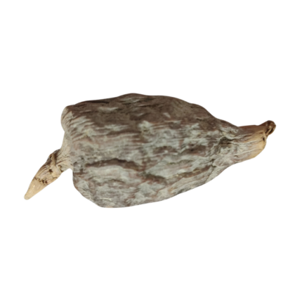 Alligator Pepper (Aframomum Melegueta) - NaijaMart.co.za