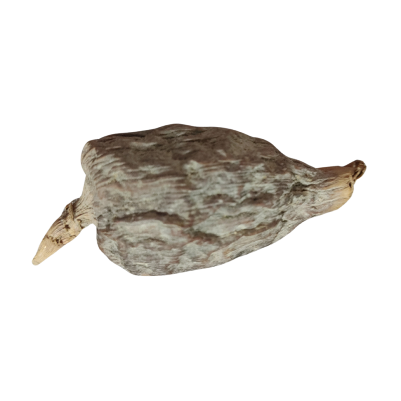 Alligator Pepper (Aframomum Melegueta) - NaijaMart.co.za