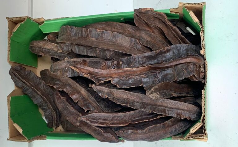 Aidan Fruit in South Africa: Benefits, Side Effects, and More - NaijaMart